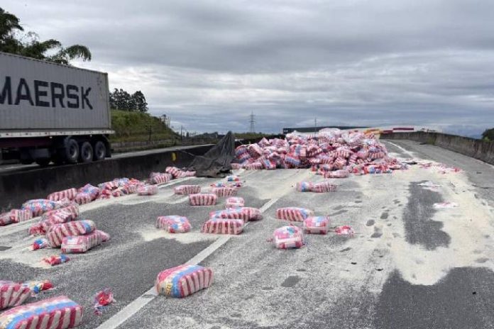 Caminhão com carga de arroz tomba, interdita pista e causa filas na BR ...
